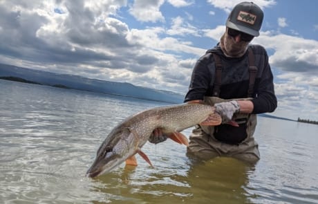 Giant Northern Pike - All Alaska Outdoors Lodge