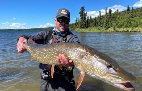 Giant Northern Pike - All Alaska Outdoors Lodge