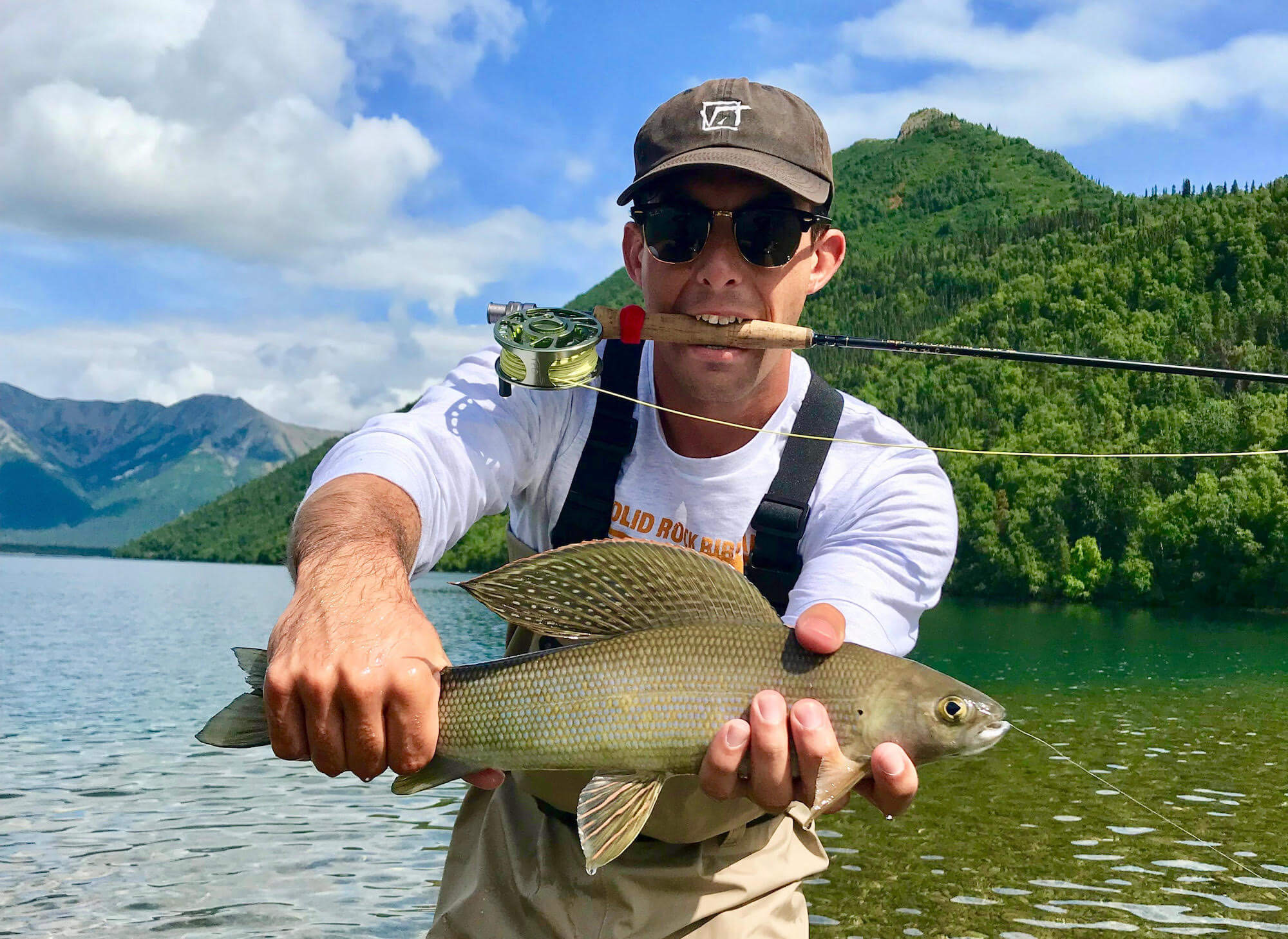 Male Grayling